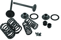 VALVE SET HORIZONTAL 70-90/110cc